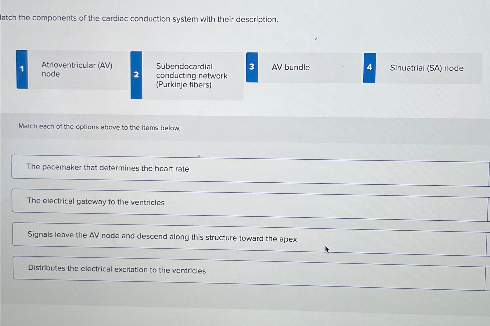 Solved atch the components of the cardiac conduction system | Chegg.com