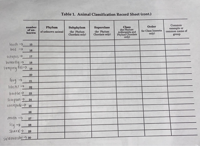 Solved Animal Classification Record sheet. Animals are | Chegg.com