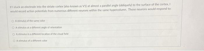 Solved If I stuck an electrode into the striate cortex (also | Chegg.com