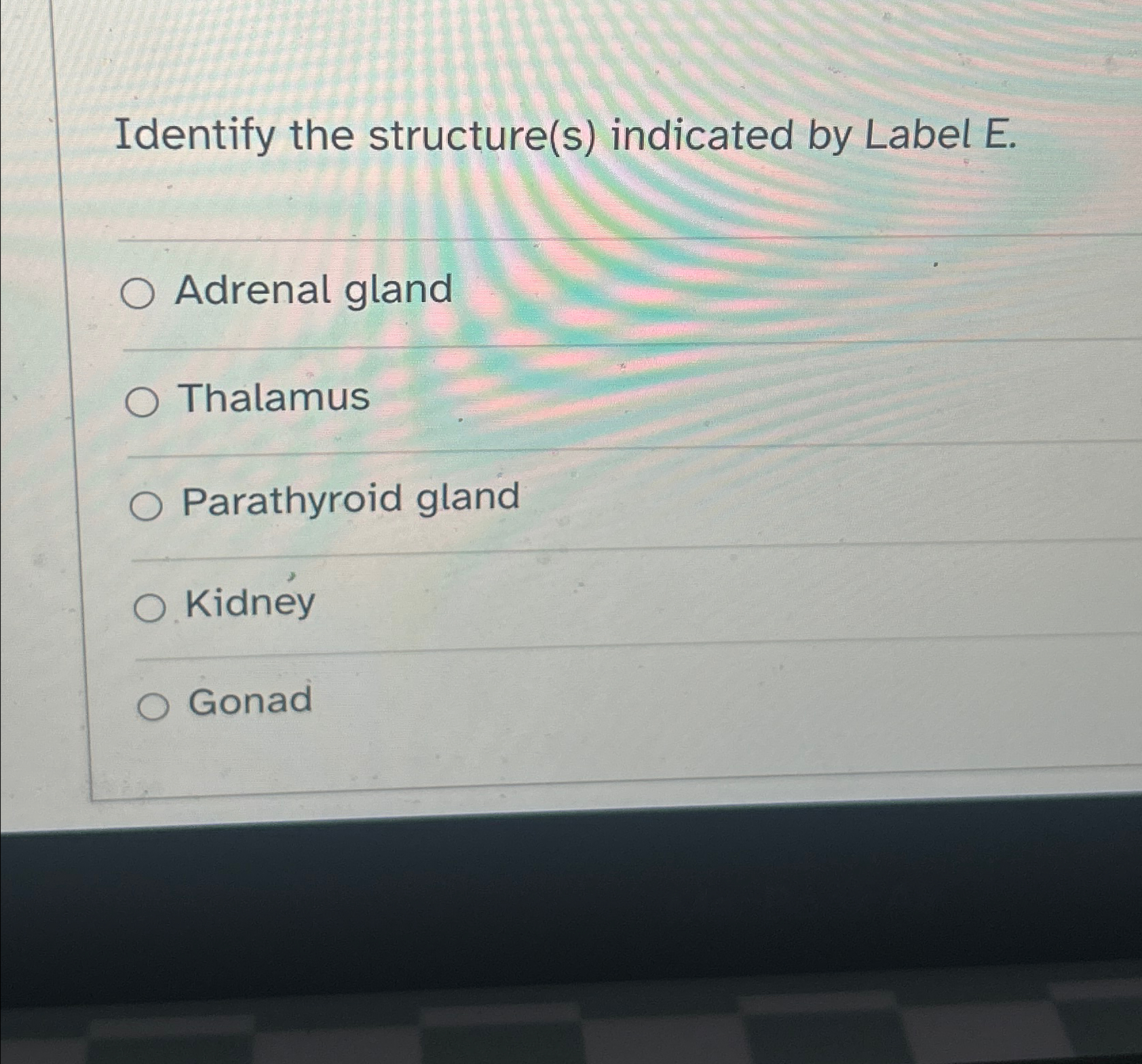 Solved Identify the structure(s) ﻿indicated by Label | Chegg.com