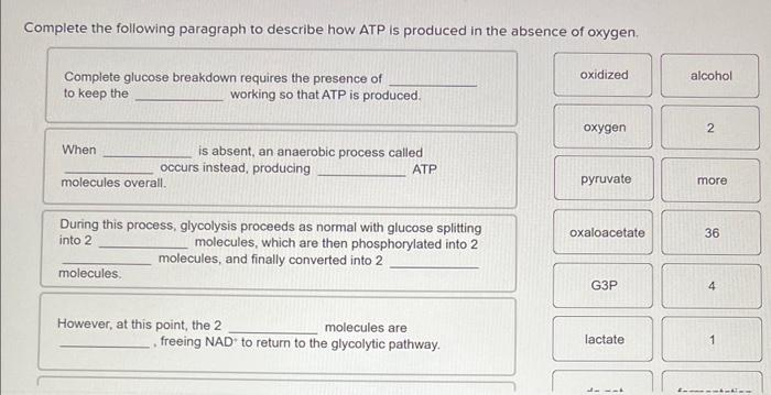 Solved Complete the following paragraph to describe how ATP | Chegg.com Solved Complete the following paragraph to describe how ATP | Chegg.com