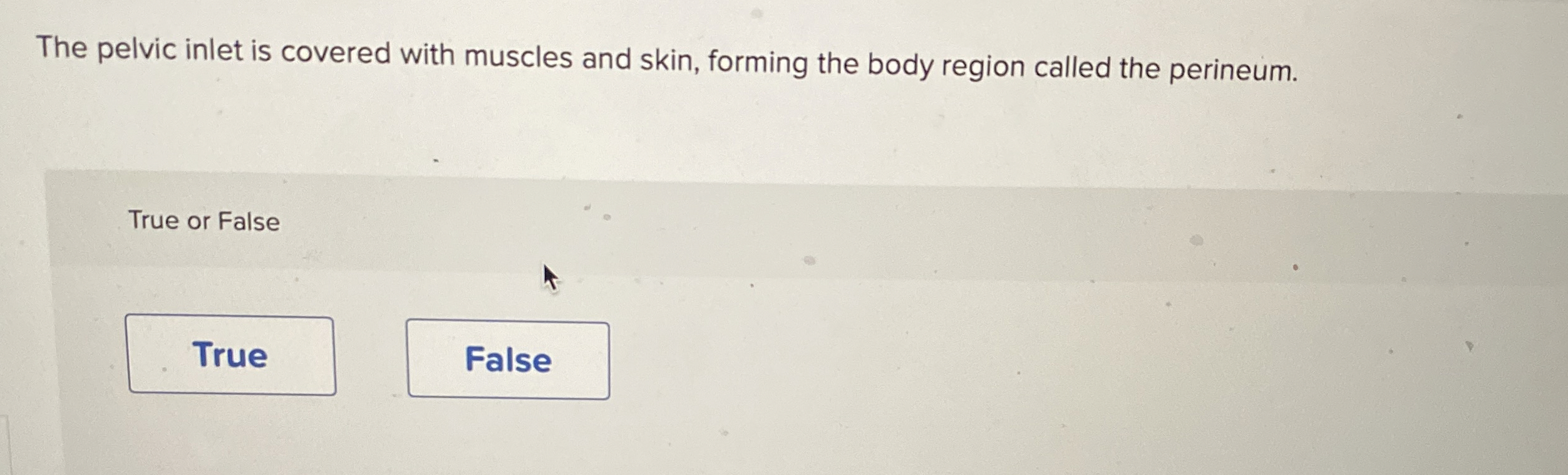 Solved The pelvic inlet is covered with muscles and skin, | Chegg.com