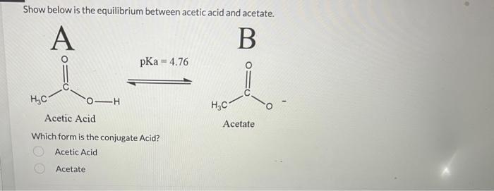 Solved Show below is the equilibrium between acetic acid and | Chegg.com