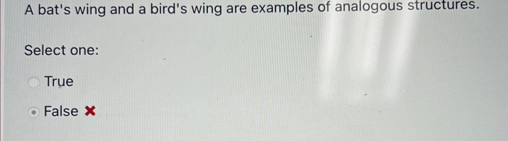 Solved A bat's wing and a bird's wing are examples of | Chegg.com