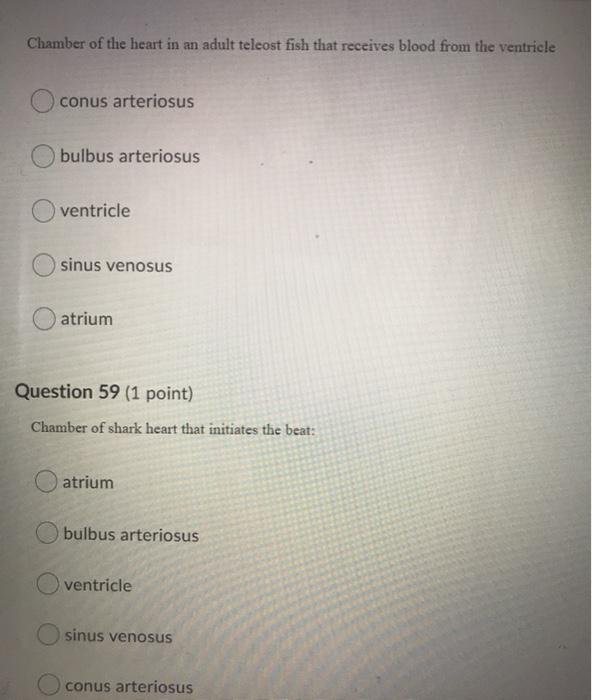 Solved Chamber of the heart in an adult teleost fish that | Chegg.com