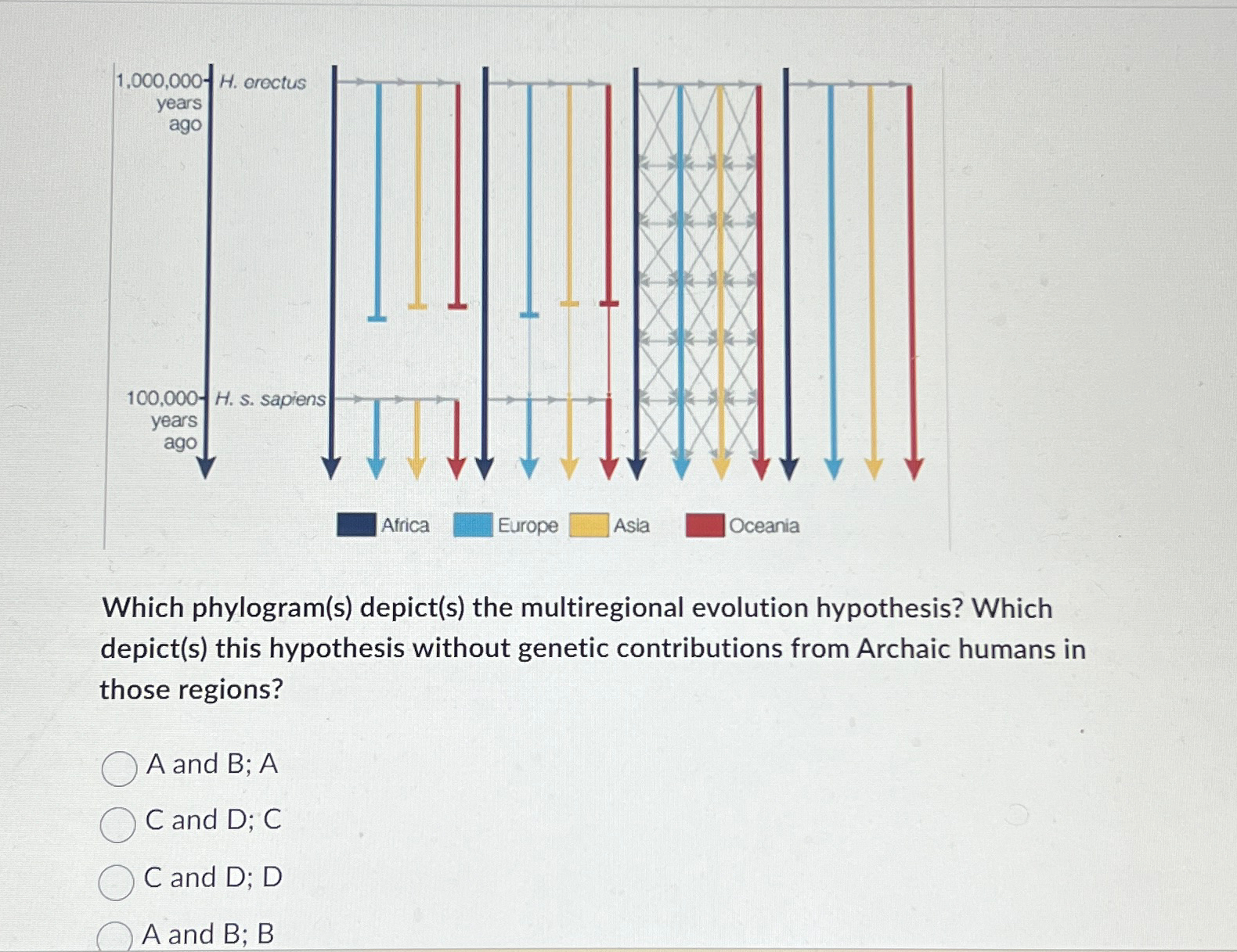 Solved Which phylogram(s) ﻿depict(s) ﻿the multiregional | Chegg.com
