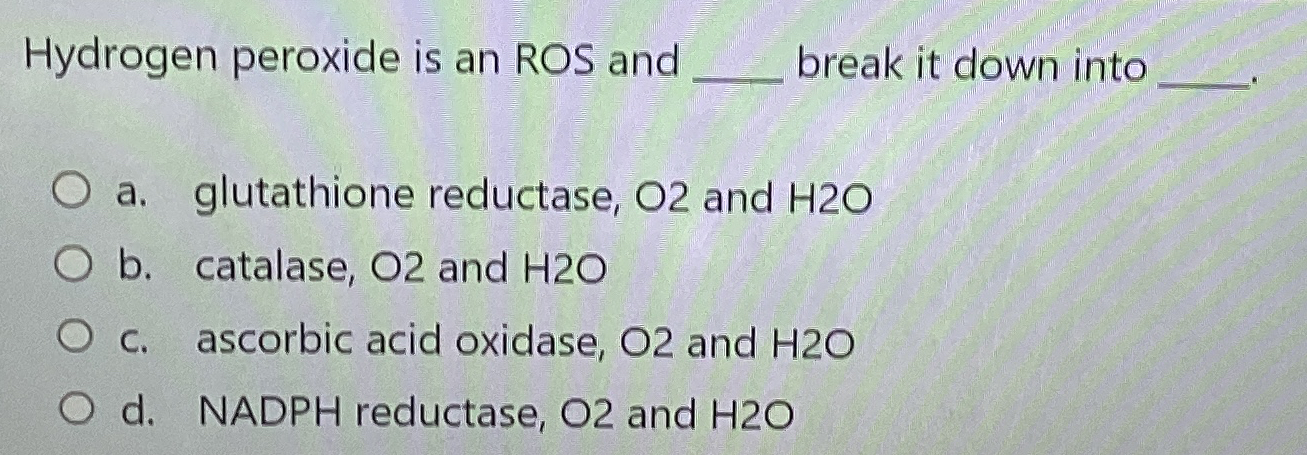 High Quality SOLUTION Hydrogen peroxide is an ROS and q, ﻿break it down ...