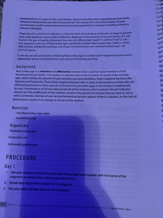PART VI: IDENTIFICATION OF GRAM POSITIVE AND GRAM | Chegg.com