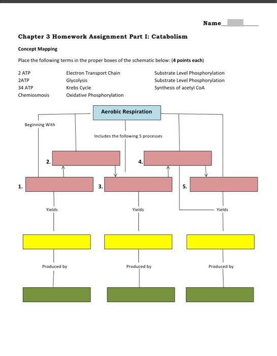Solved Name Chapter 3 Homework Assignment Part I: Catabolism | Chegg.com