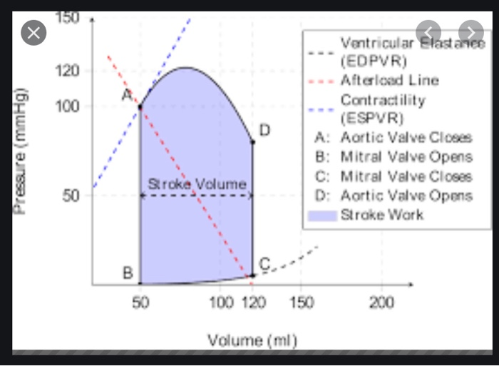 Solved In the figure.Which point (A,B,C,D) best represent | Chegg.com