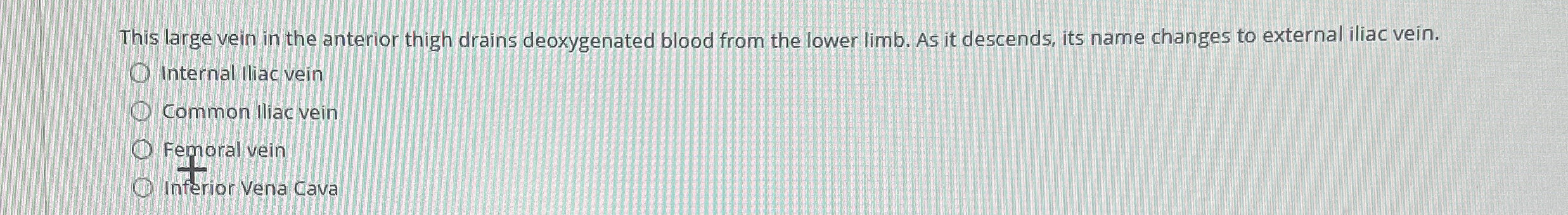 Solved This large vein in the anterior thigh drains | Chegg.com