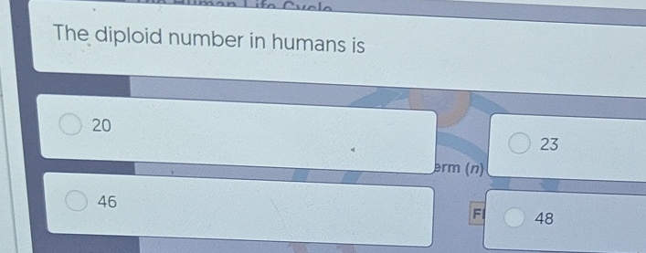 Solved The diploid number in humans is2023 ﻿arm ( n )4648 | Chegg.com