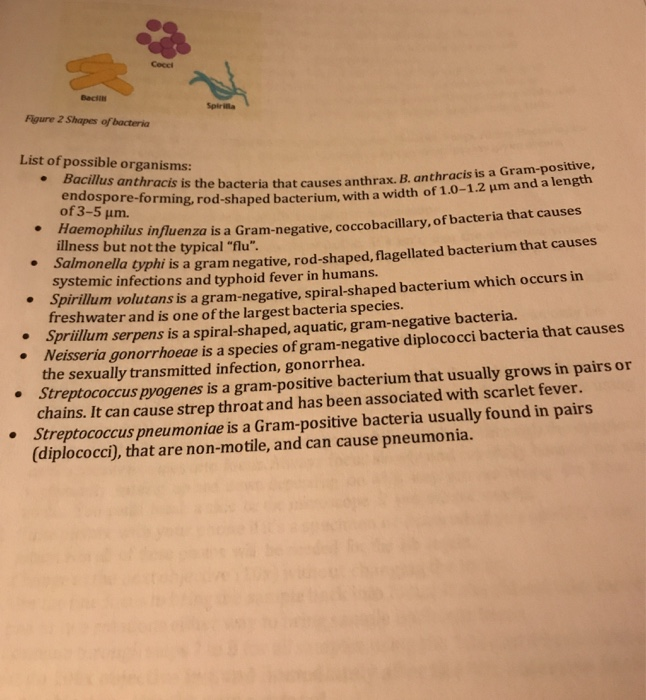 Solved label which slides below are a fungi, protist algae | Chegg.com