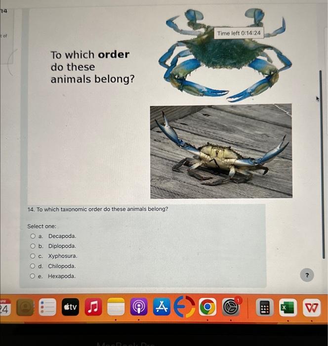 Solved To which order do these animals belong? 14. To which | Chegg.com