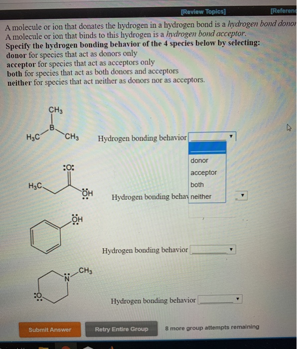 Solved Specify hydrogen bonding behavior of the 4 species | Chegg.com