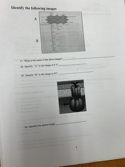 Solved Identify the following images 47. What is the name of | Chegg.com