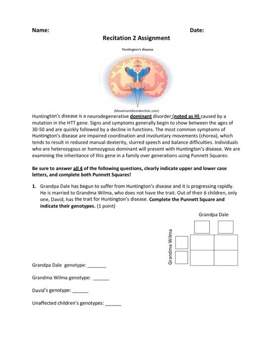 Solved Name: Date: Recitation 2 Assignment Huntington's die | Chegg.com