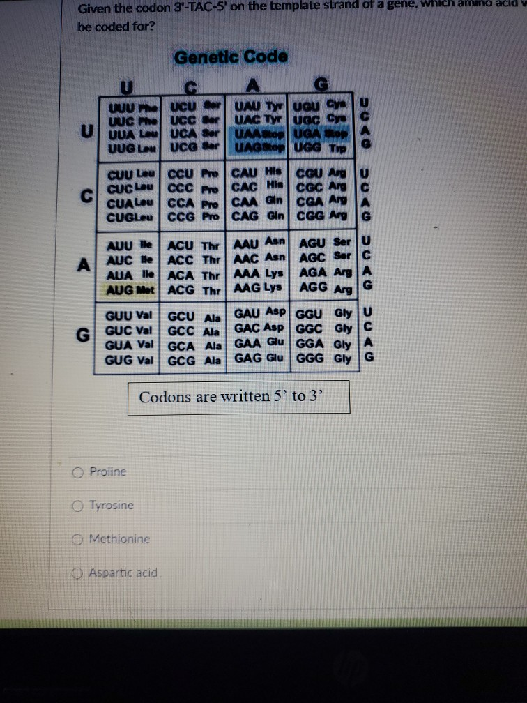 Solved Given the codon 3-TAC-5' on the template strand of a | Chegg.com