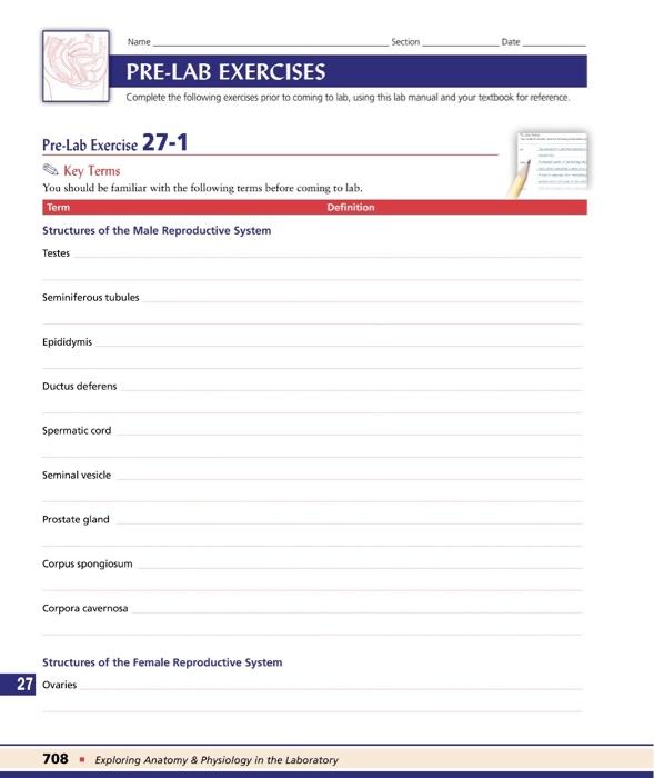 Solved Name Section Date PRE-LAB EXERCISES Complete the | Chegg.com