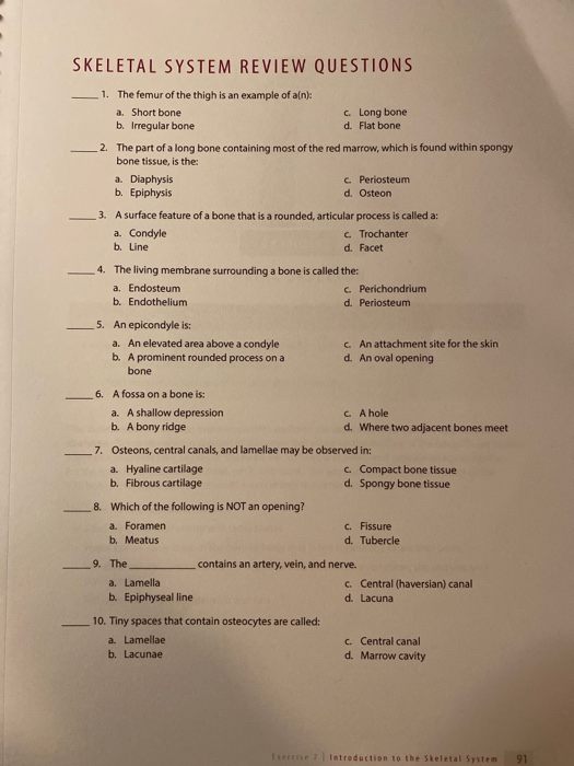 Solved SKELETAL SYSTEM REVIEW QUESTIONS 1. The femur of the | Chegg.com