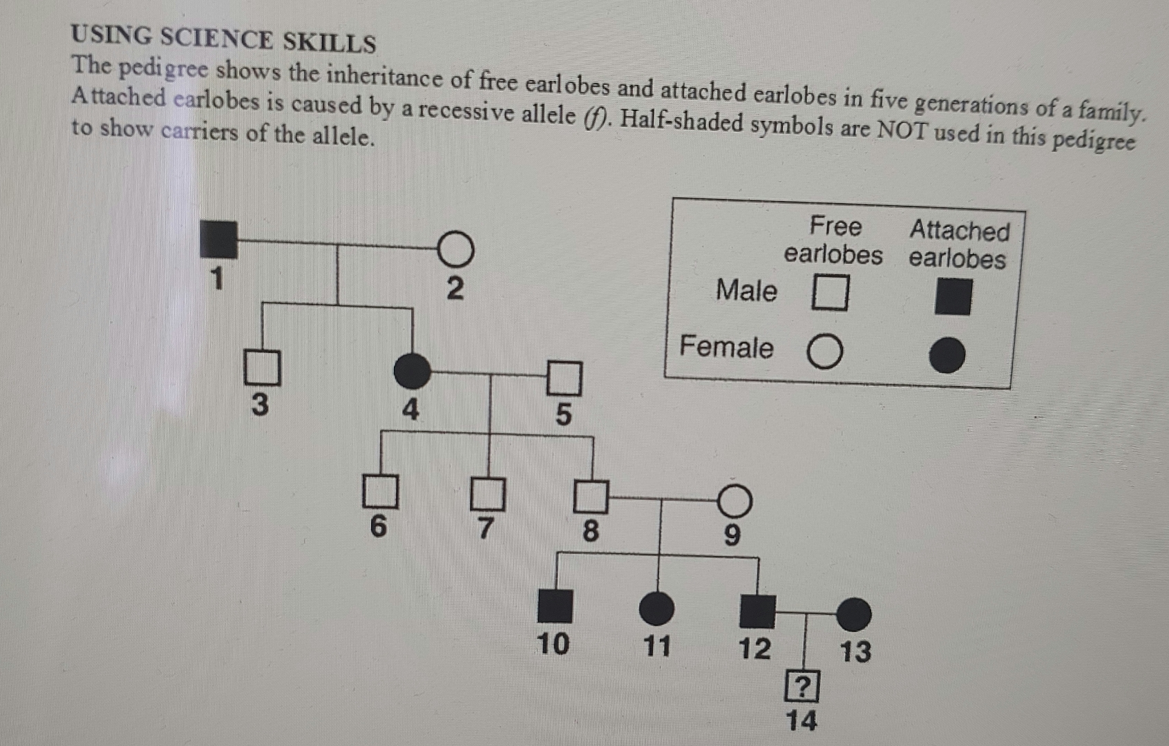 Solved USING SCIENCE SKILLSThe pedigree shows the | Chegg.com
