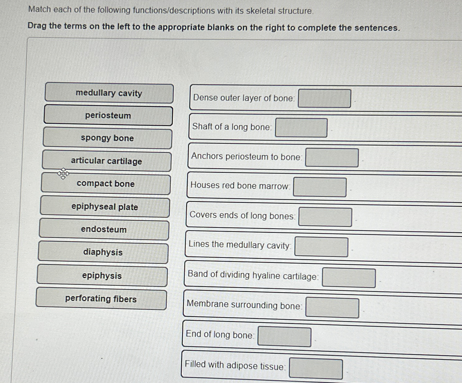 Solved Match each of the following functions/descriptions | Chegg.com