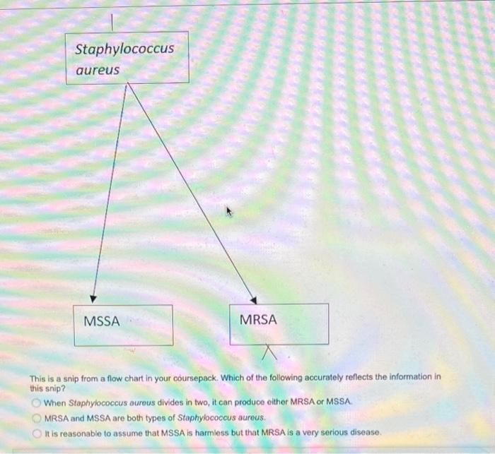 Solved This is a snip from a flow chart in your coursepack. | Chegg.com