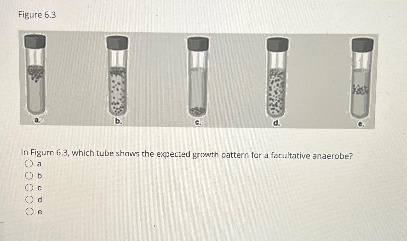 Solved Figure 6.3In Figure 6.3, ﻿which tube shows the | Chegg.com
