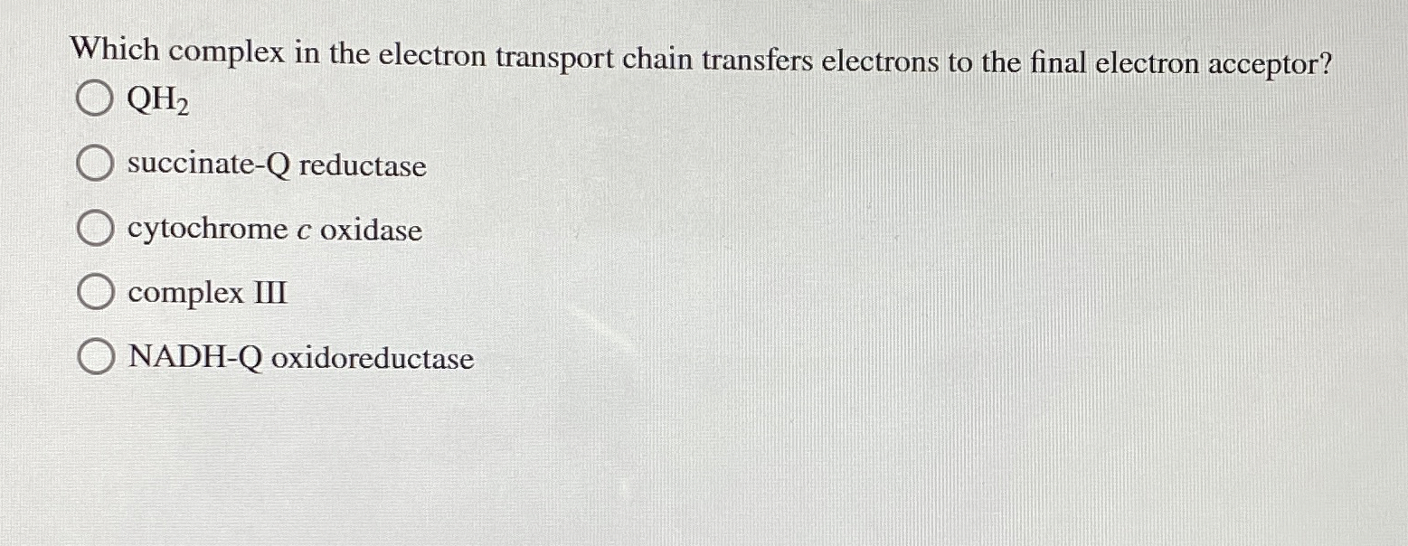Solved Which complex in the electron transport chain | Chegg.com