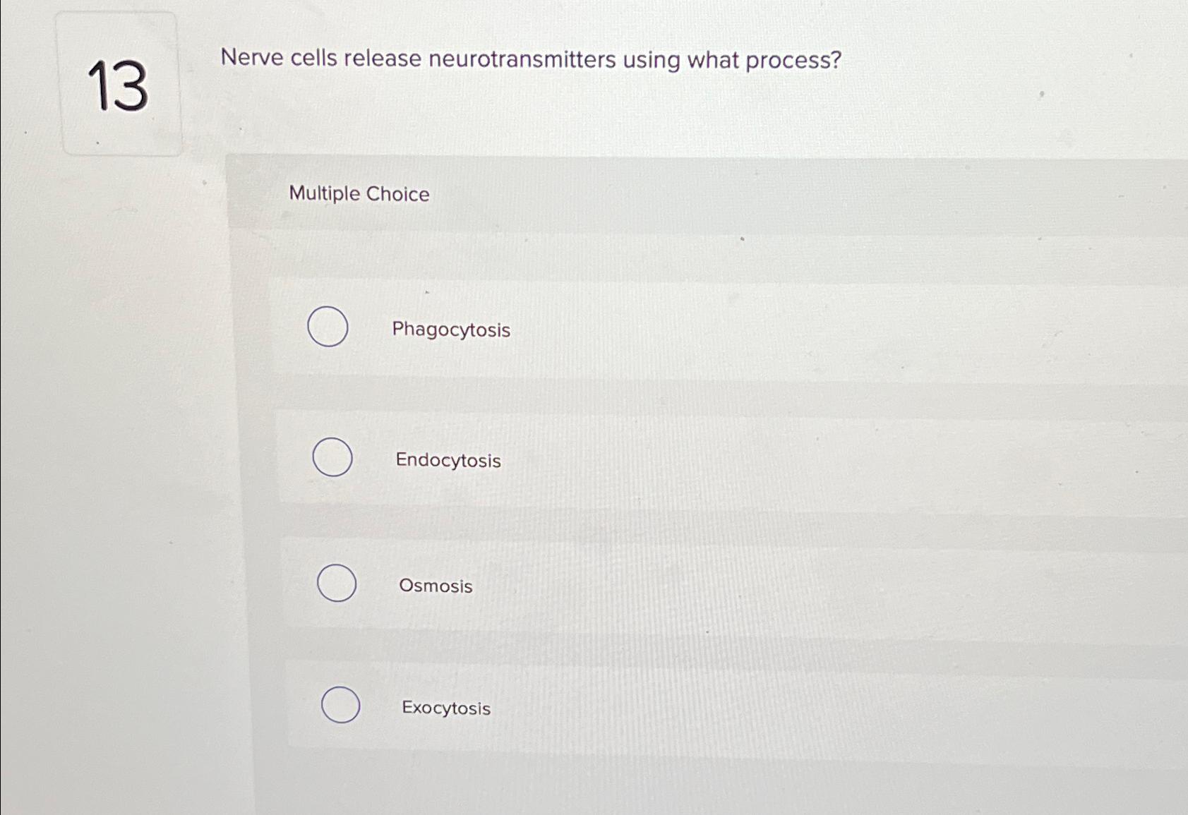 Solved 13Nerve cells release neurotransmitters using what | Chegg.com