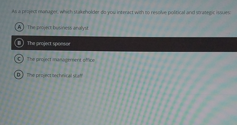 Solved As a project manager, which stakeholder do you | Chegg.com