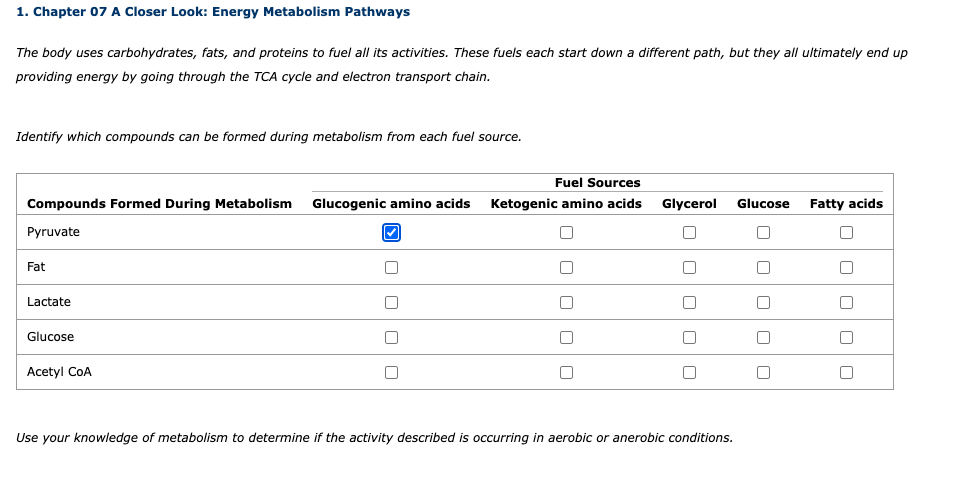 Solved Chapter 07 ﻿A Closer Look: Energy Metabolism | Chegg.com