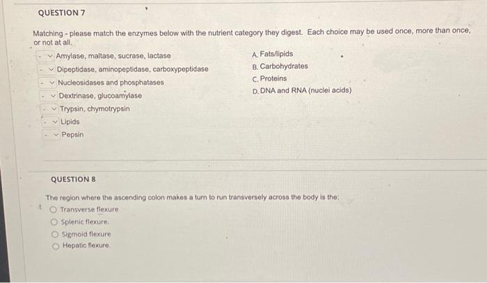 Solved The pancreas Passes pancreatic juice to the duodenum | Chegg.com