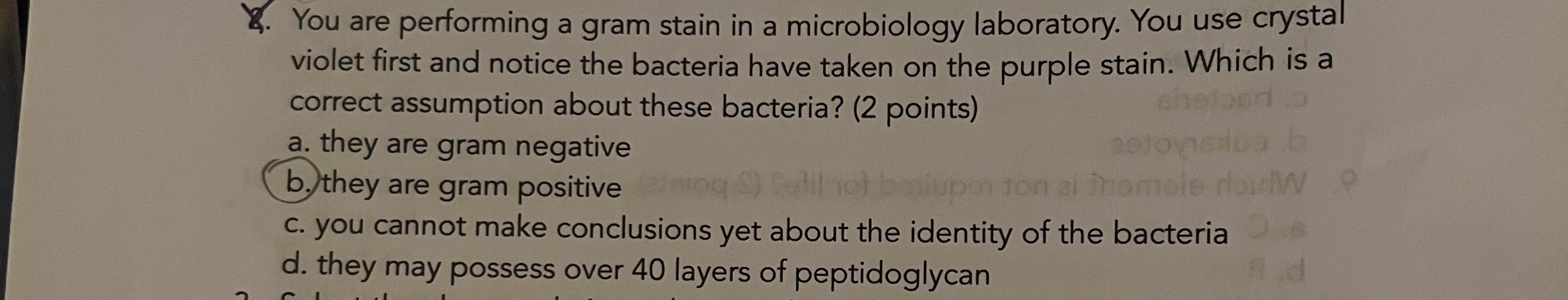 Solved You are performing a gram stain in a microbiology | Chegg.com
