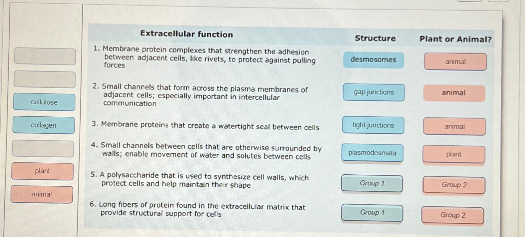Solved Extracellular functionStructurePlant or | Chegg.com