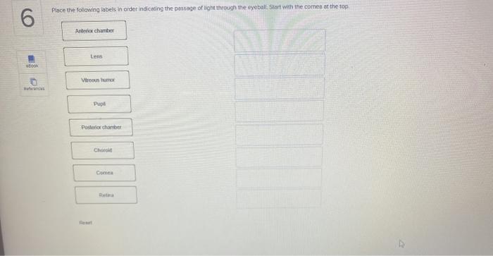 Solved Place the following labels in order indicating the | Chegg.com