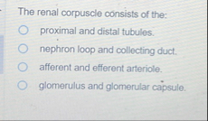 Solved The renal corpuscle consists of the:proximal and | Chegg.com