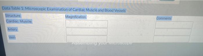 Solved Data Table 1: Microscopic Examination of Cardiac | Chegg.com Solved Data Table 1: Microscopic Examination of Cardiac | Chegg.com