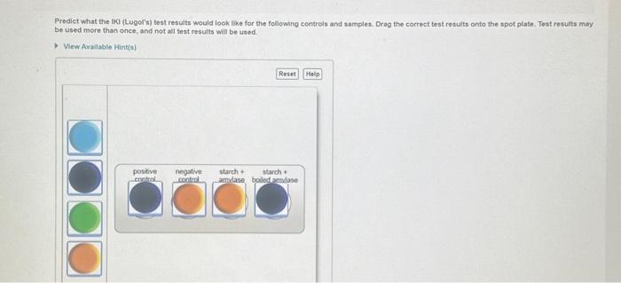 Solved Predict what the BCG (Lugor's) test results would | Chegg.com