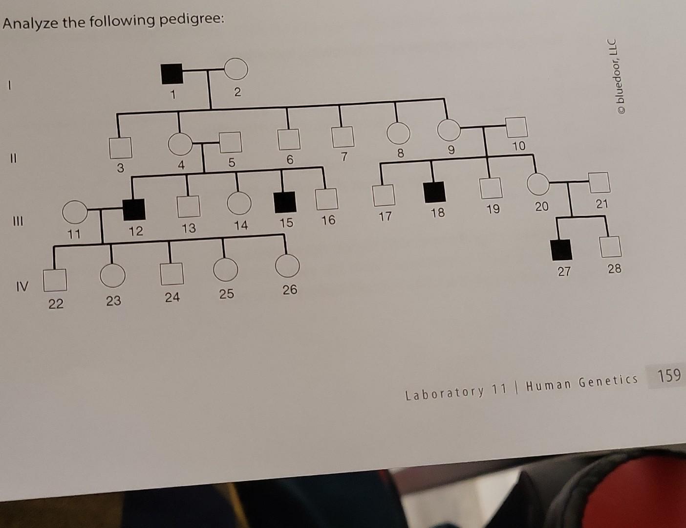 Solved Analyze the following pedigree: Laboratory 11 | Human | Chegg.com