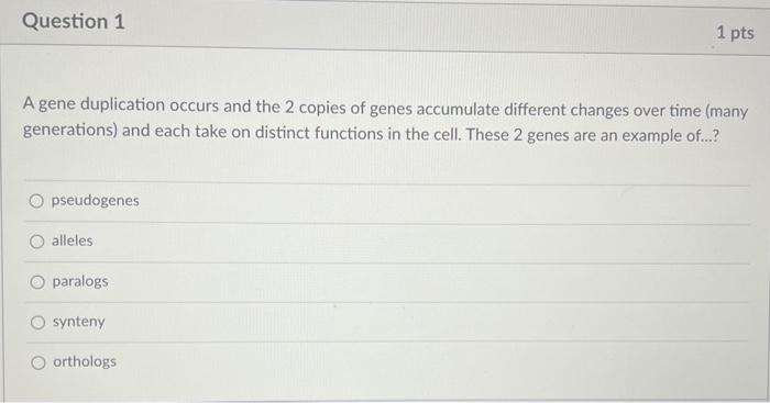 Solved A gene duplication occurs and the 2 copies of genes | Chegg.com