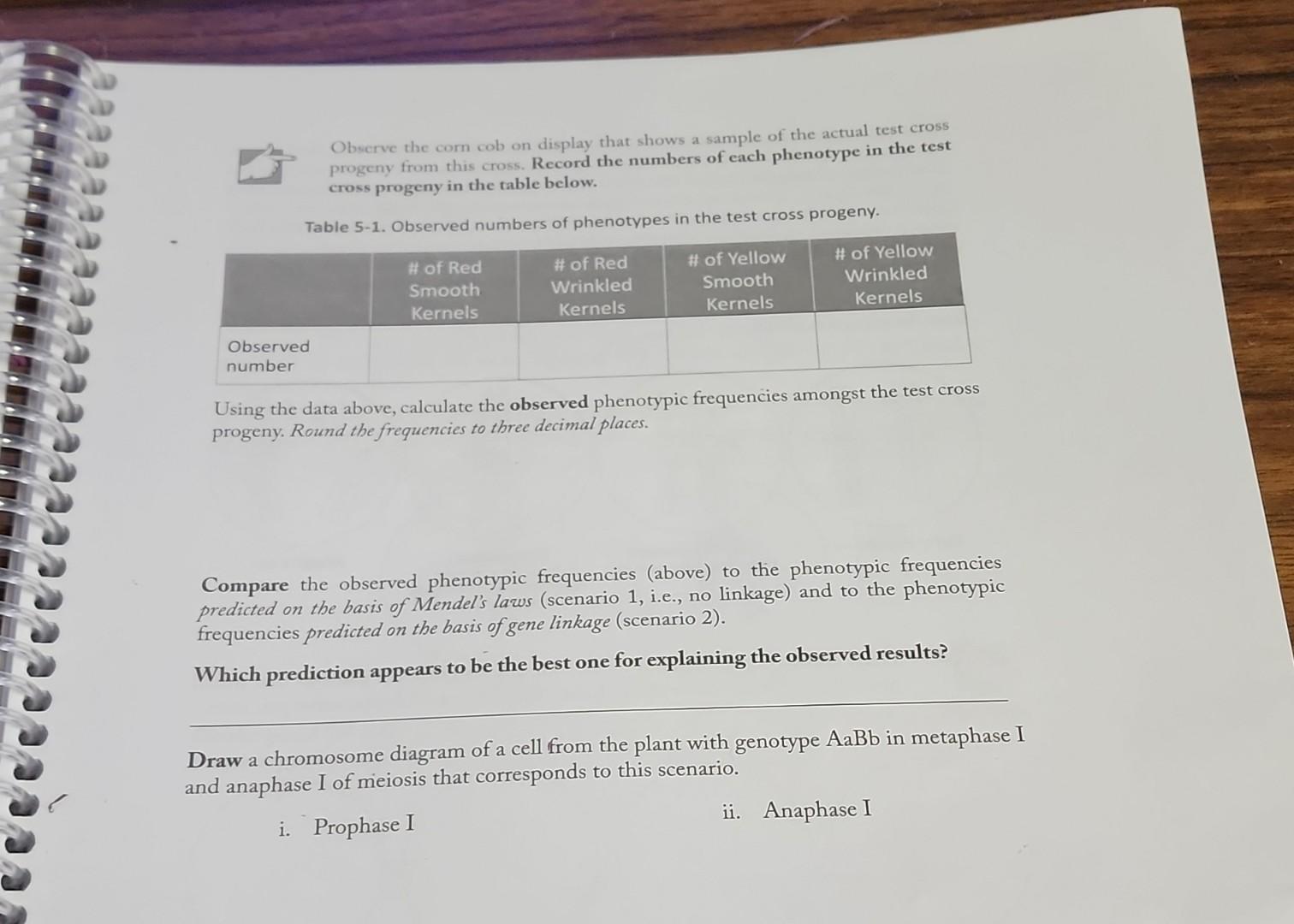 Solved Observe the corn cob on display that shows a sample | Chegg.com