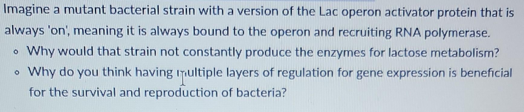 Solved Imagine a mutant bacterial strain with a version of | Chegg.com