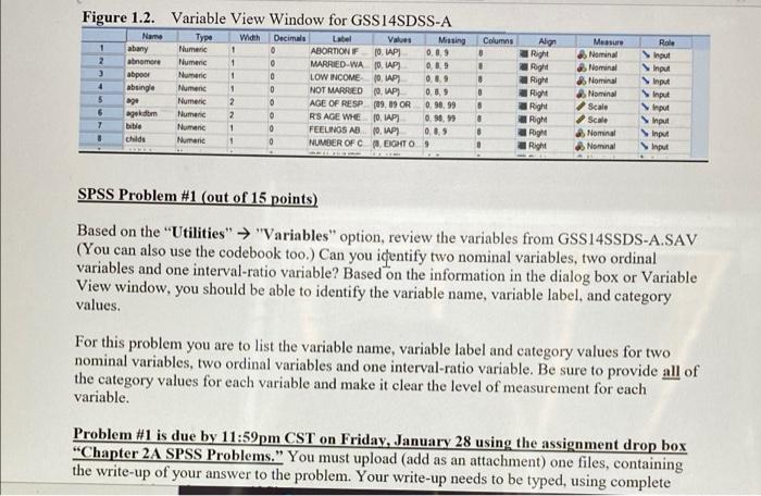 Columns 8 Role Input Figure 1.2. Variable View Window | Chegg.com