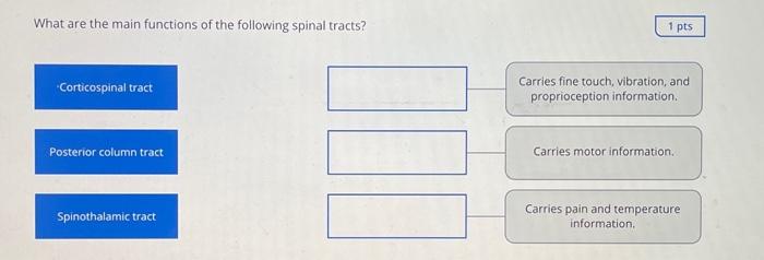 Solved Order the following to reflect the correct order of | Chegg.com