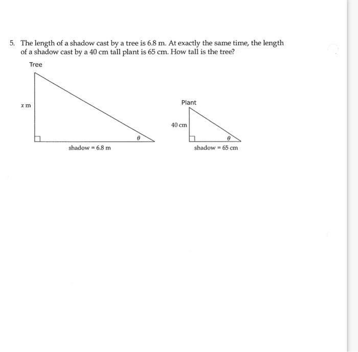 Solved 5. The length of a shadow cast by a tree is 6.8 m. At | Chegg.com