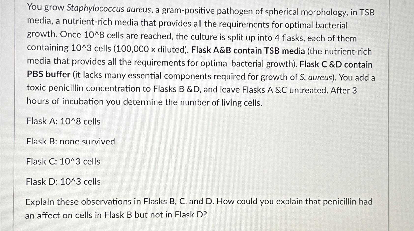 Solved You grow Staphylococcus aureus, a gram-positive | Chegg.com