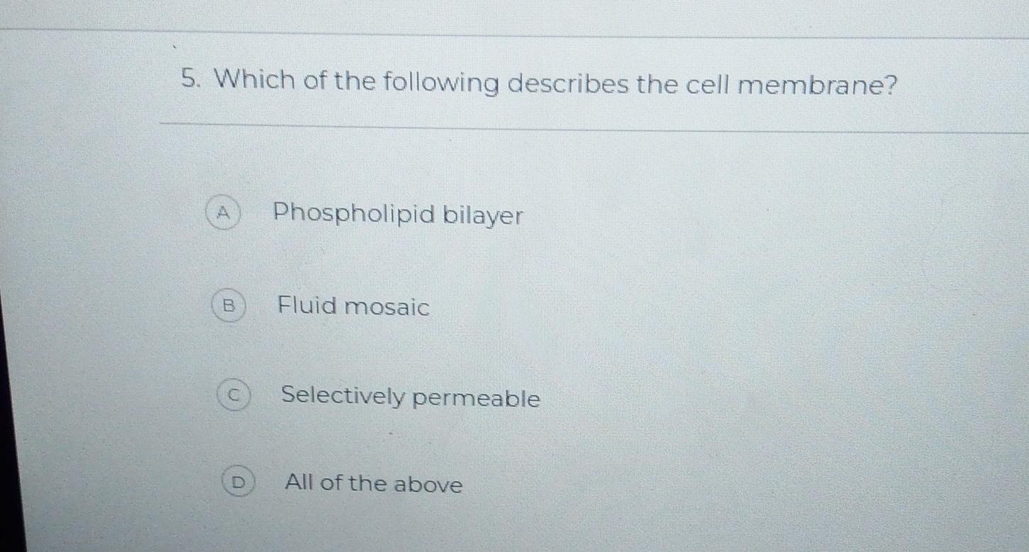 Solved Which of the following describes the cell | Chegg.com