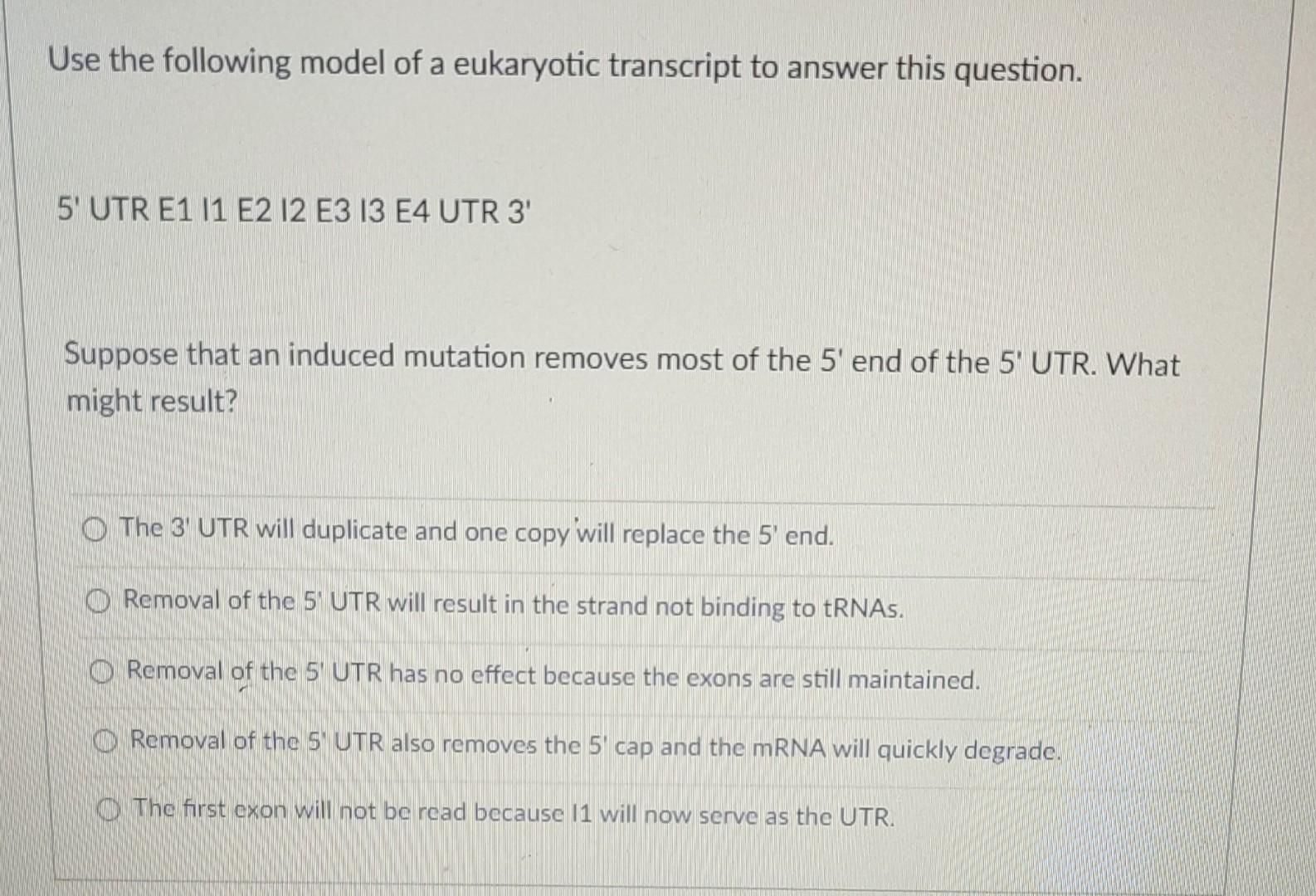 Solved Use the following model of a eukaryotic transcript to | Chegg.com