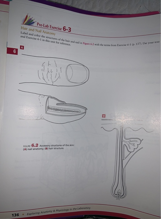 Solved Name PRE-LAB EXERCISES Complete the following thing | Chegg.com